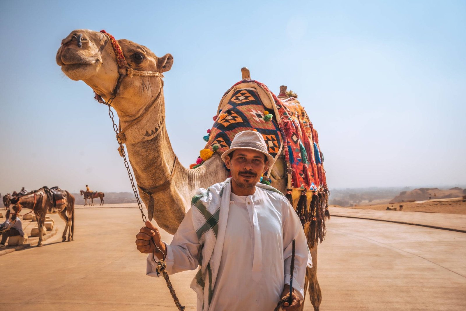 The Great Pyramids of Giza and the Egyptian museum trip in Cairo ...